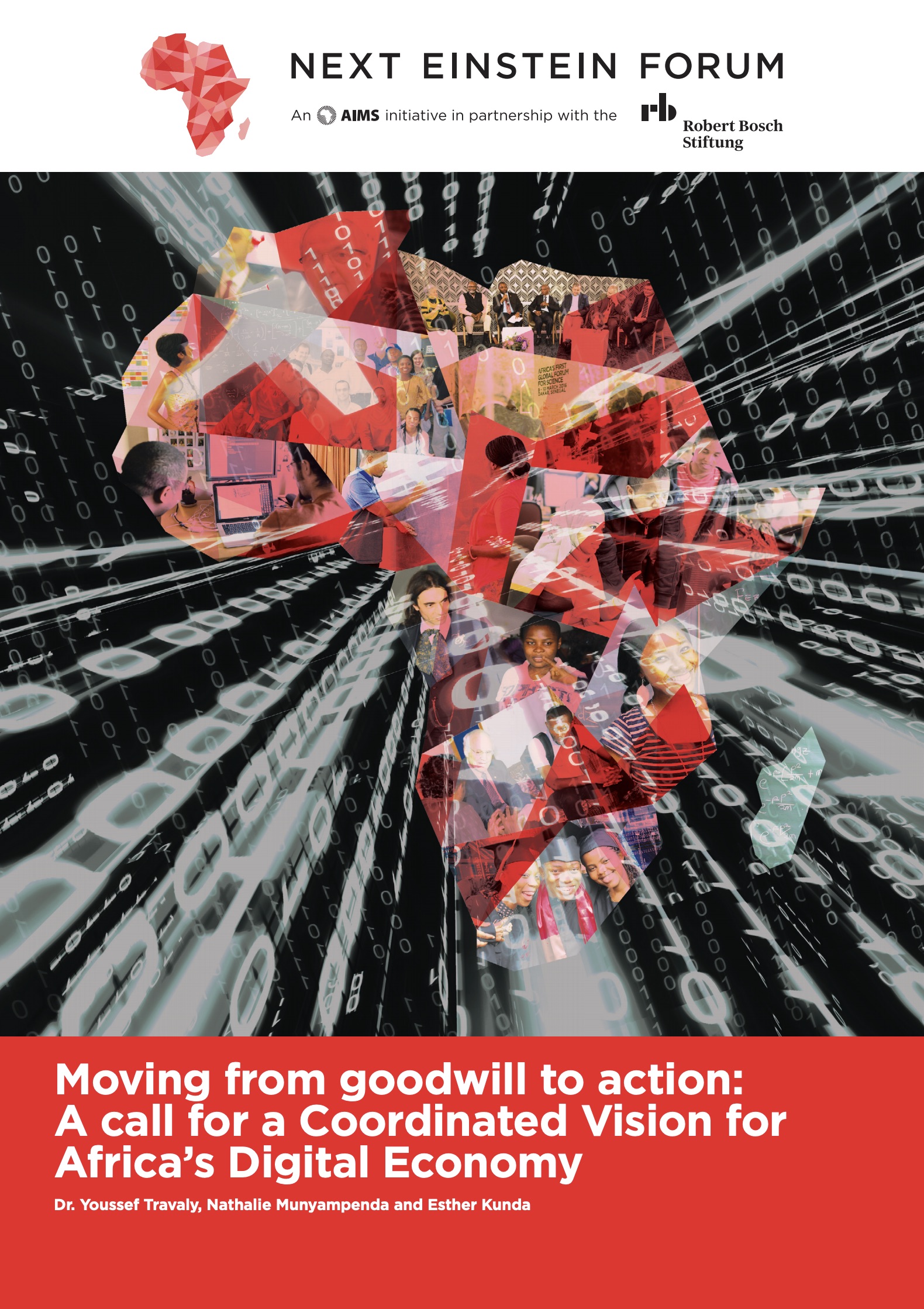 Moving from goodwill to action: A call for a Coordinated Vision for ...